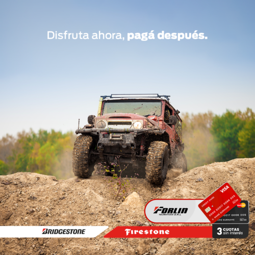 Inicio - Forlin Neumáticos